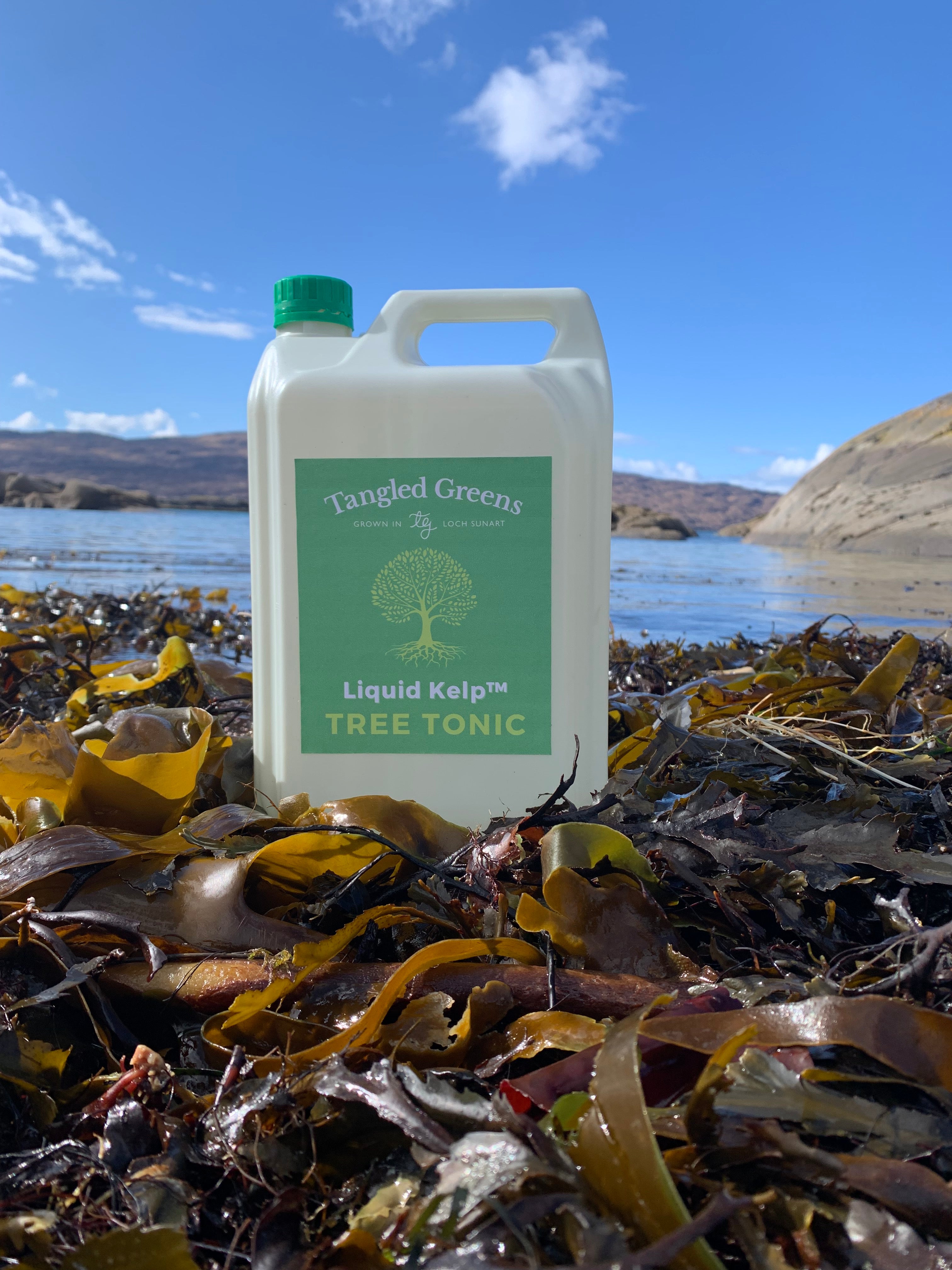 Tree Tonic - Natural Seaweed Fertiliser for Tree Health – Tangled Greens